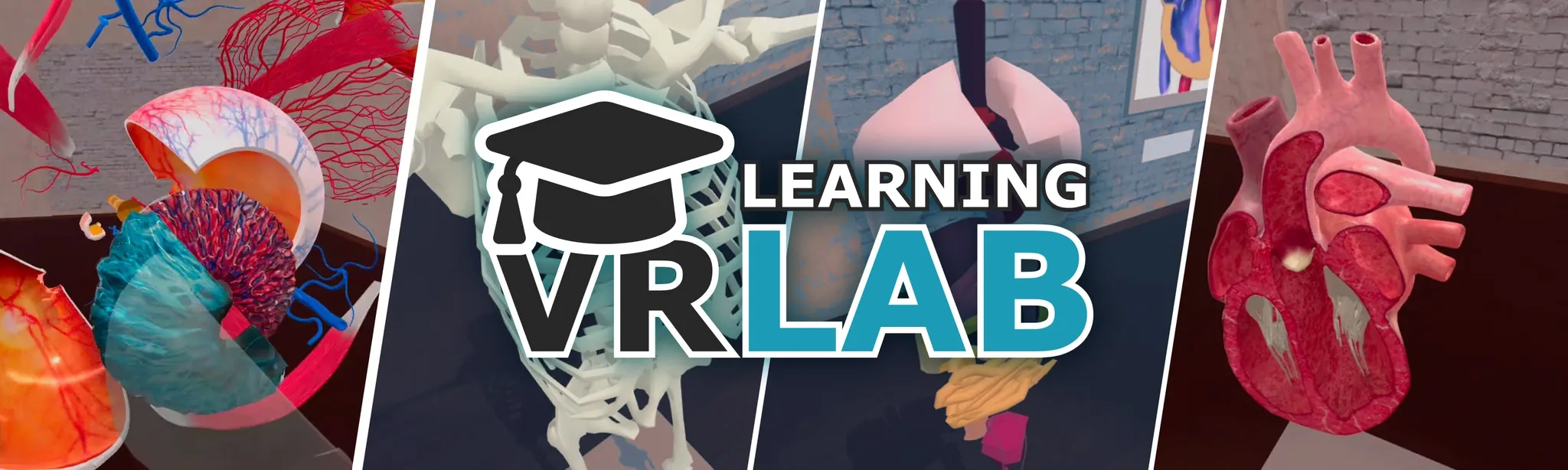 VR Anatomy Lab - Price History and Deals